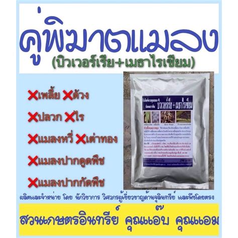 บิวเวอร์เรีย เมธาไรเซียม 250กรัม ผสมพร้อมใช้ กำจัดแมลง ละลายน้ำใช้ได้เลยและขยายเชื้อได้ กำจัด