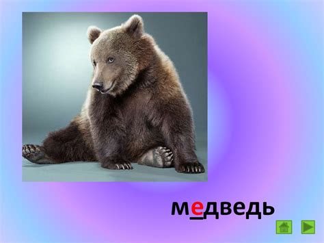 Тренажер словарные слова 2 класс часть 1 презентация онлайн