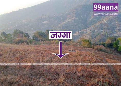 Land For Sale At Deurali Danda Palungtar Gorkha