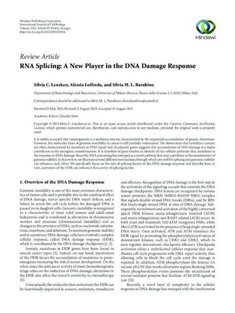 Pdf Review Article Rna Splicing A New Player In The Dna · Rna