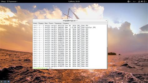 Команда Ls Linux Losst