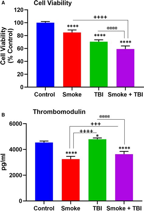A Mtt Cytotoxicity Assay For Cell Viability Evaluation B Effect Of
