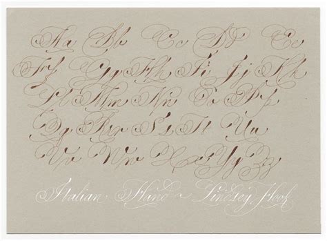 Italian Hand Script Alphabet Ornate Script Handwriting Spencerian
