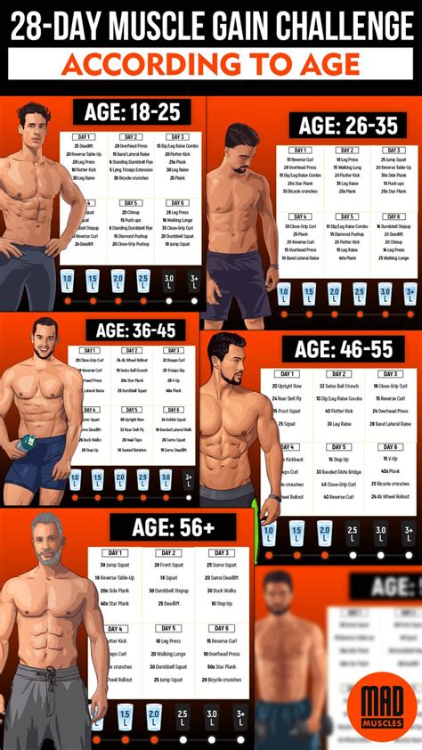Weekly Workout Schedule For Men To Gain Muscle
