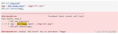V Module D L Torch Has No Attribute Image Module D L