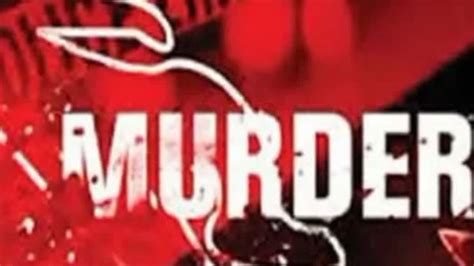 Man Kills Wife Chops Body Into Pieces In Karnataka Village
