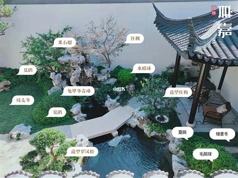 中式庭院植物搭配分享