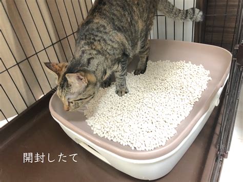 システムトイレ用猫砂レビュー ラクラクサンド うちでのこづち