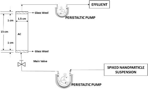 Schematic Representation Of The Column Study Download Scientific Diagram