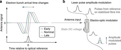 Bunch Arrival Time Measurement The Relativistic Electron Bunch Induces Download High