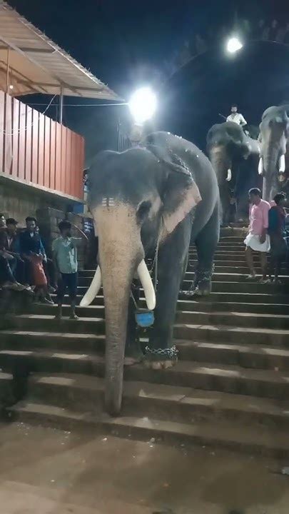 ഞാൻ ആരു പറഞ്ഞാലും മെല്ലെ ഇറങ്ങും എനിക്ക് വയ്യ വീഴാൻ ശരീരഭാരം കൂടുത
