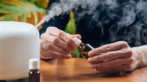 Hide Your Essential Oil Diffuser In Style With Tiktoks Brilliant Decor