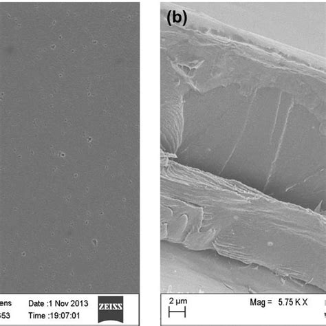 Illustrates The Fabrication Procedures Of A Polymeric Microlens Array Download Scientific