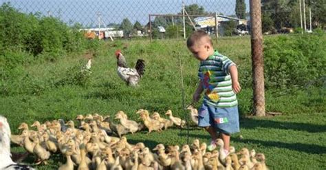 Един ден забелязах че съседското момче ми напомня за някого И изведнъж ми просветна той беше