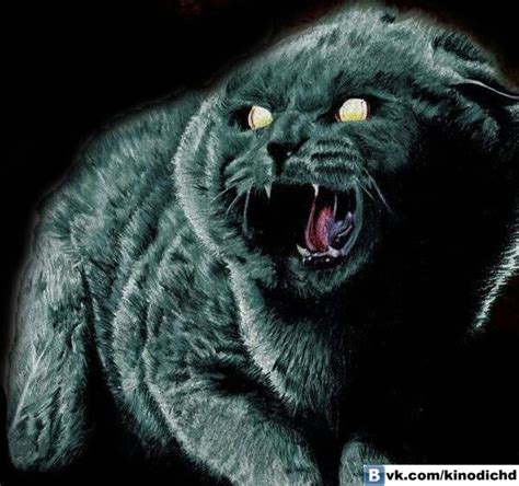 Кладбище домашних животных 1989 Кладбище домашних животных 2 1992 Кладбище домашних животных