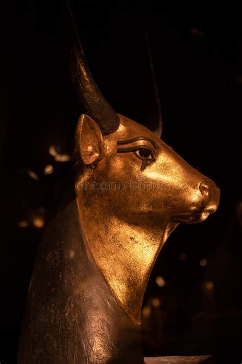 Sacred Cow Stature Treasure From Cairo National Museum In Cairo