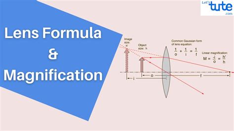 What Is Magnification And Its Formula At Samuel Skeyhill Blog