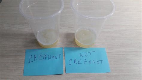 How Can You Test Pregnancy With Salt Pregnancywalls
