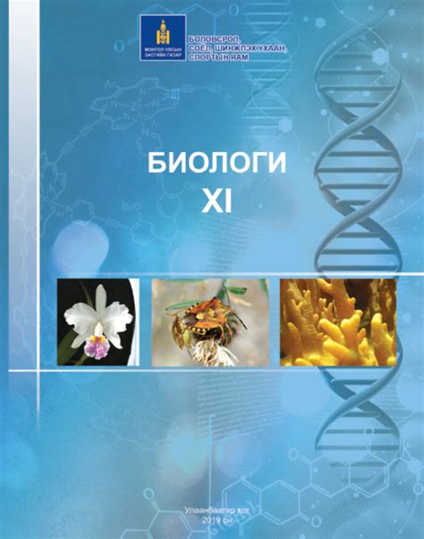 Мэдлээ Цахим контент