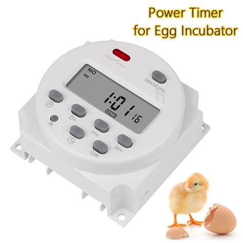 220v Sinotimer For Incubator Egg Turner With Seconds Pwde Nang Walang