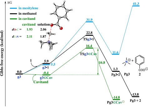 Modeling Amine Methylation In Methyl Ester Cavitand Norjmaa 2024 Chemistry A European