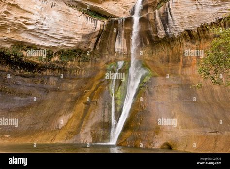 Lower Calf Creek Falls Calf Creek Grand Staircase Escalante National