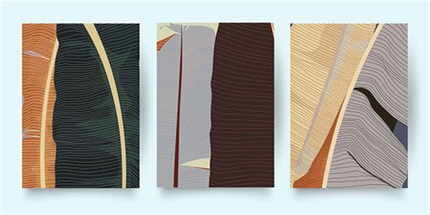 트로픽 패턴 세트 정글 식물과 함께 간단한 최소한의 평면 스타일의 열대 배경 컬렉션 바나나 잎 잎에 대한 스톡 벡터 아트 및 기타 이미지 Istock