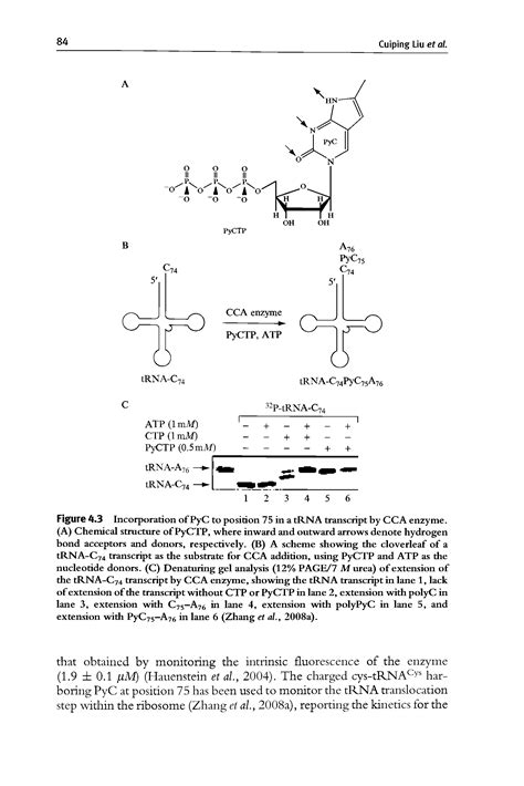 Ctp Scheme Big Chemical Encyclopedia