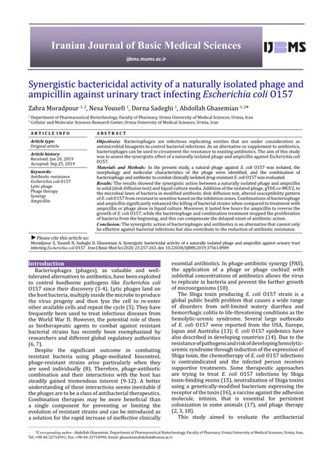 Pdf Synergistic Bactericidal Activity Of A Naturally Isolated Phage