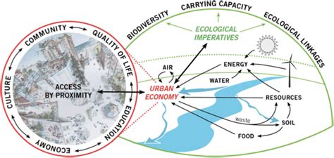 Cities As Interconnected Urban Ecosystems Source Iefs 88 Download Scientific Diagram