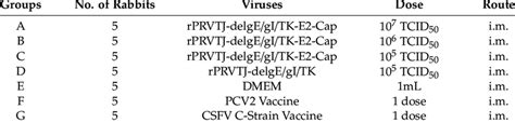 Experimental Design For Immunization Of Rabbits Download Scientific