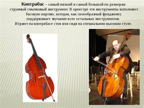СТРУННЫЕ СМЫЧКОВЫЕ ИНСТРУМЕНТЫ