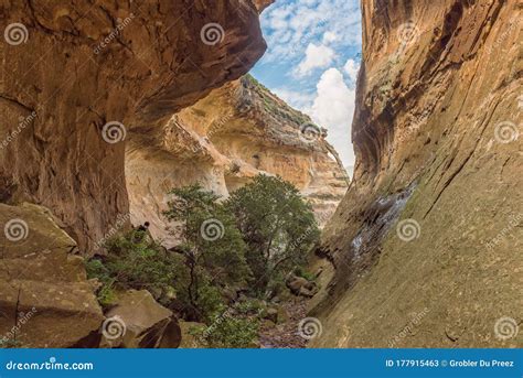 Echo Ravine A Sandstone Gorge At Golden Gate Free State Stock Image