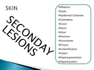 Skin Lesions PPT