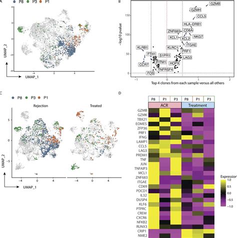 Transcriptional Reprogramming Of Lung T Rm Cells After High Dose Download Scientific Diagram