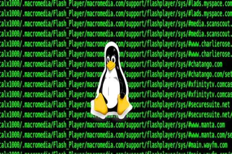 کنترل جریان ایجاد حلقه با While و Until در اسکریپت‌نویسی محتوای باز