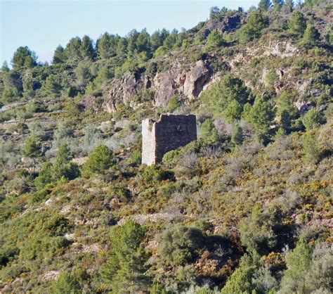 Algimia De Almonacid Entre Alcornocales Y Pinares