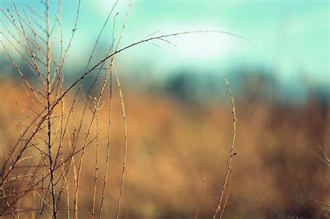 Introduce Imagen Wallpaper Full Screen Blur Background Hd