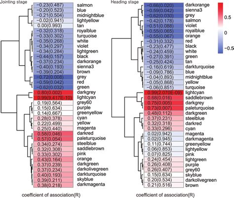 Module Character Correlation At Jointing Stage And Heading Stage The