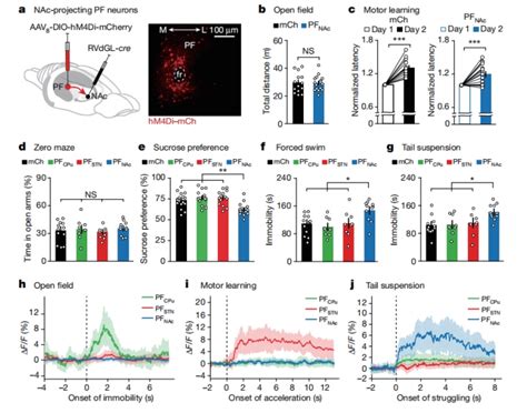 多通道光纤记录系统