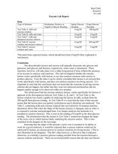 Lactase Enzyme Activity With Data Analysis