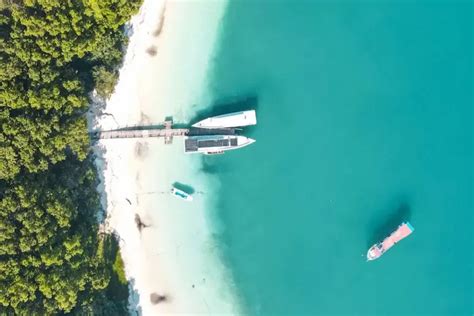 Indahnya Alam Pulau Peucang Ujung Kulon Simak Daya Tarik Rute Dan