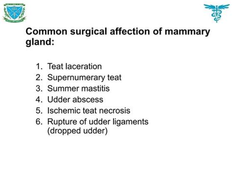 Nerve Blocks And Dehorning By Dr Najmu Saaqib Reegoo Dvm Ppt