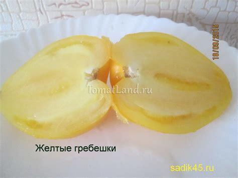 Томат Желтые гребешки: описание сорта, ОТЗЫВЫ (10), фото | tomatland.ru