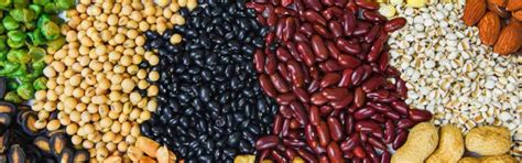 Lectin Foods What Are They And Should You Avoid Them With Ibd Eat