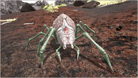 Ark Araneo Abilities Controls Taming Food Saddle Breeding