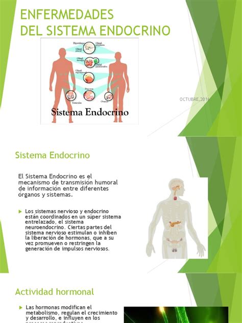 Enfermedades Del Sistema Endocrino Pdf