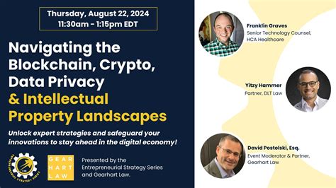 navigating the blockchain crypto data privacy and ip landscapes