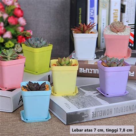 Jual Pot Kotak Mini Tatakan Pot Persegi Pot Kaktus Pot Sukulen