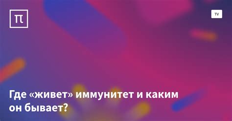 Где «живет иммунитет и каким он бывает — все самое интересное на